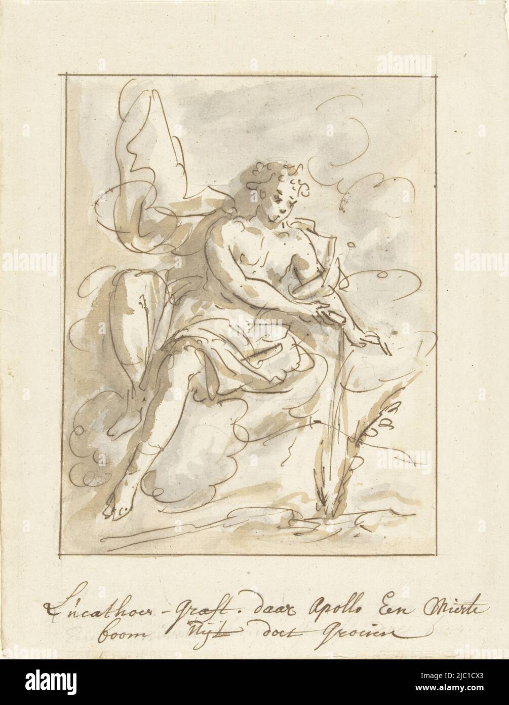 Myrtle tree sprout hi-res stock photography and images - Alamy