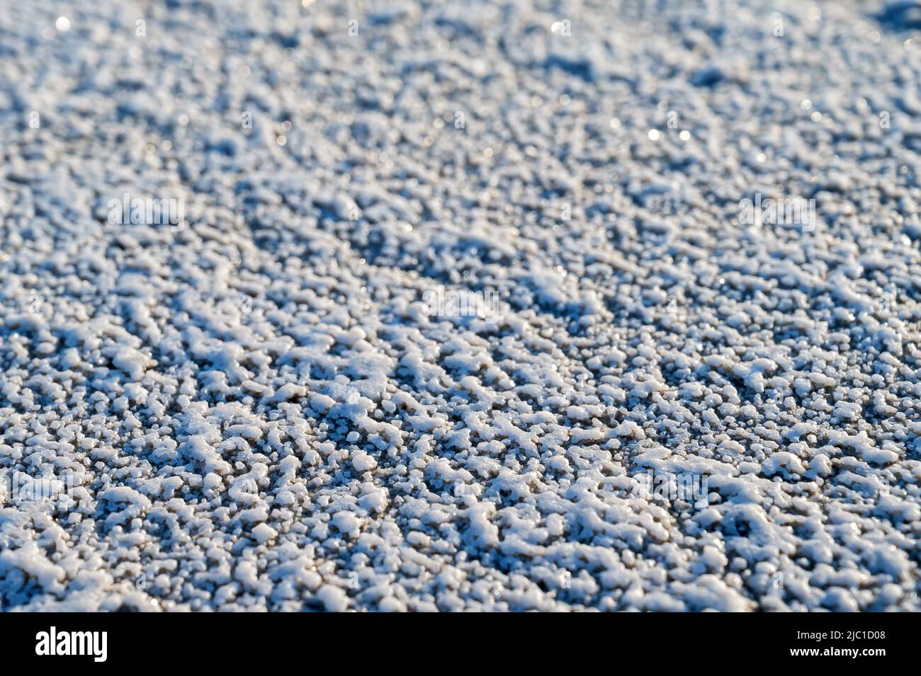 Closeup of natural salt on surface of soil. White natural mineral ...