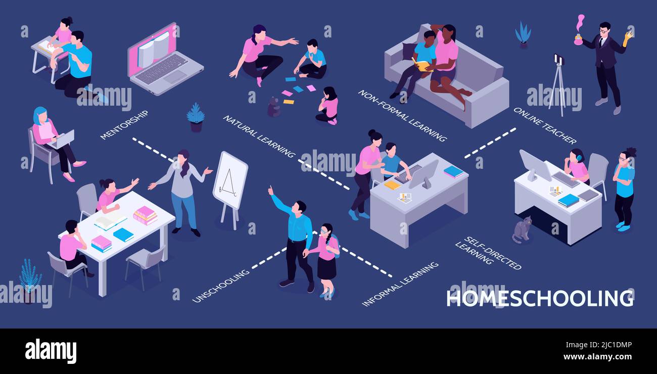 Homeschooling isometric infographic flowchart with online classes non ...