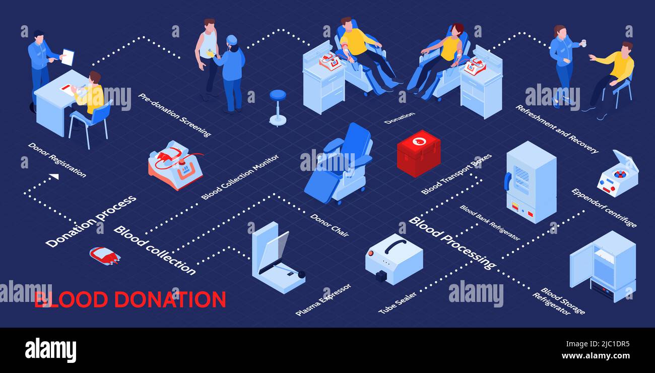 Blood donation infographic isometric flowchart with registration ...