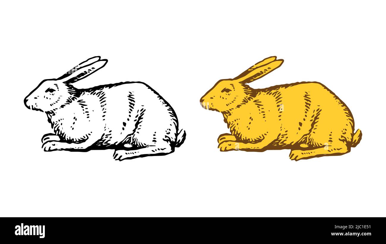 Rabbit hand drawn vector illustration isolated on white background ...