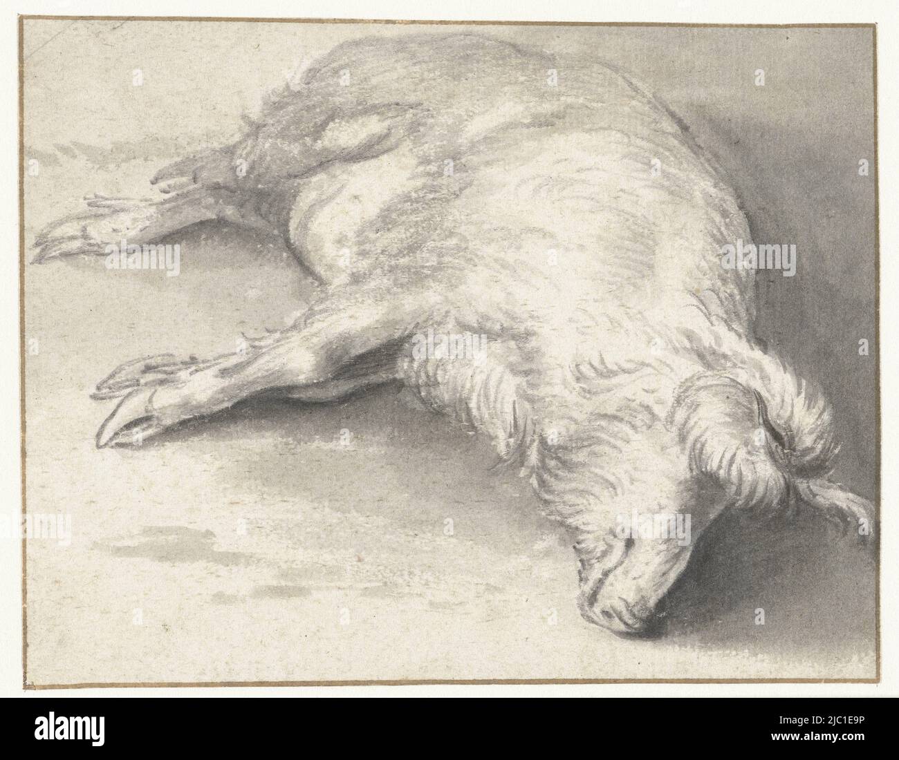 Recumbent pig hi-res stock photography and images - Alamy