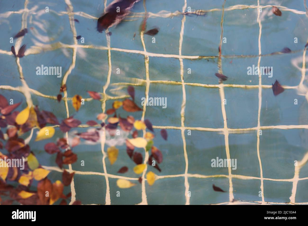 Top view of a tropical water fountain with square tiles Stock Photo - Alamy