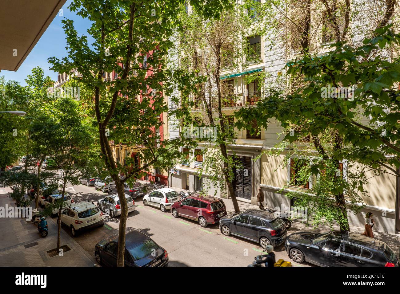 Old building many trees in hi-res stock photography and images - Alamy