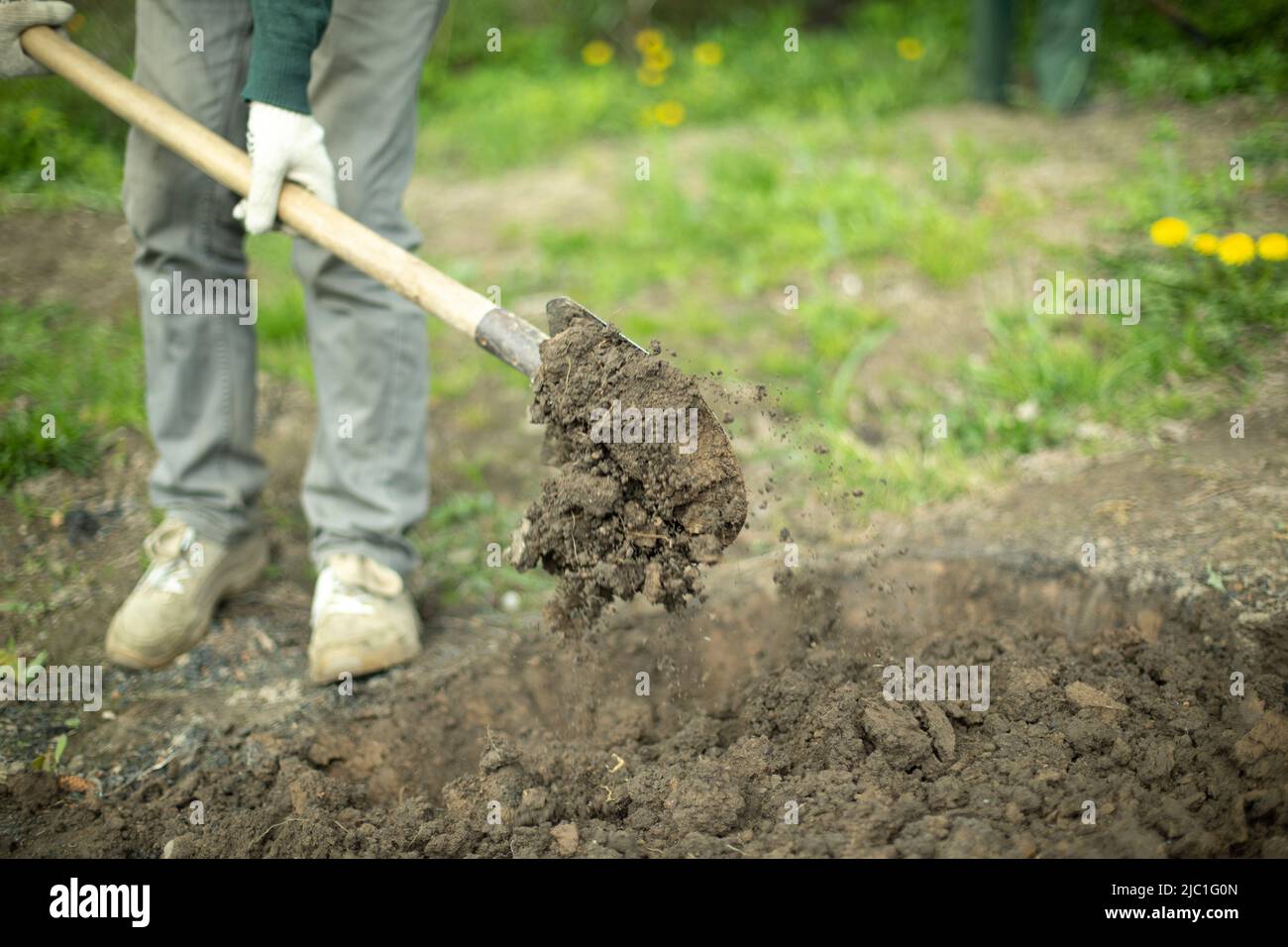 Guy is digging ground. Man with shovel. Details of rural life. Digging ...