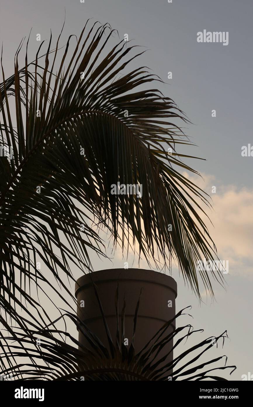 A single column standing against the sky with a palm tree Stock Photo ...