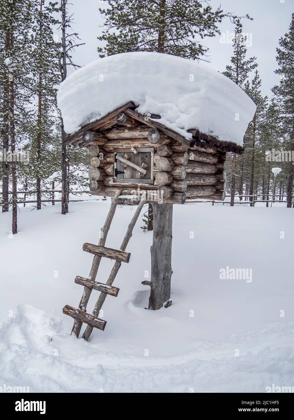 wooden hut in winter snowy forest in Finland, Lapland Stock Photo - Alamy