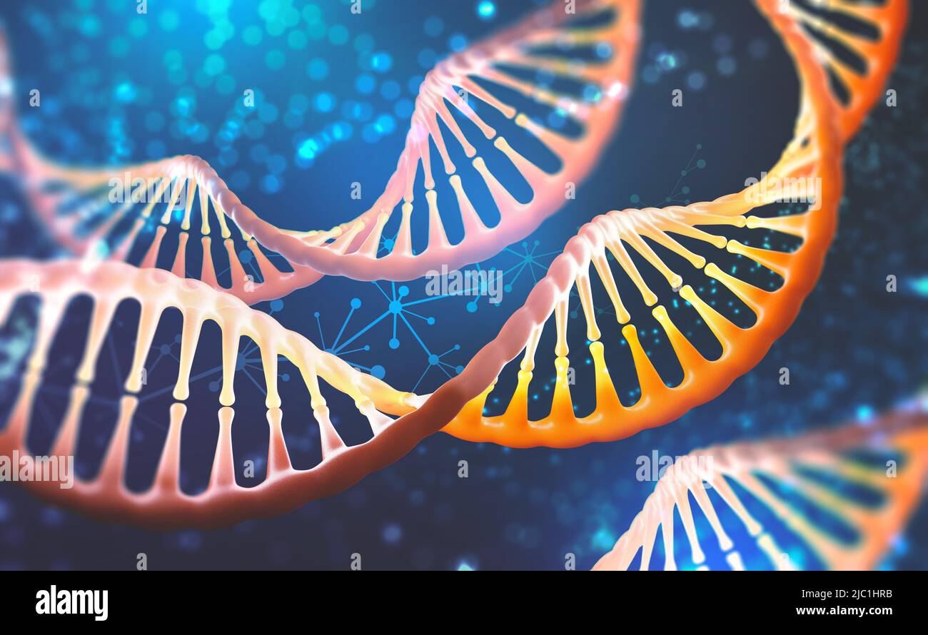 Human genome dna molecule double helix hi-res stock photography and ...