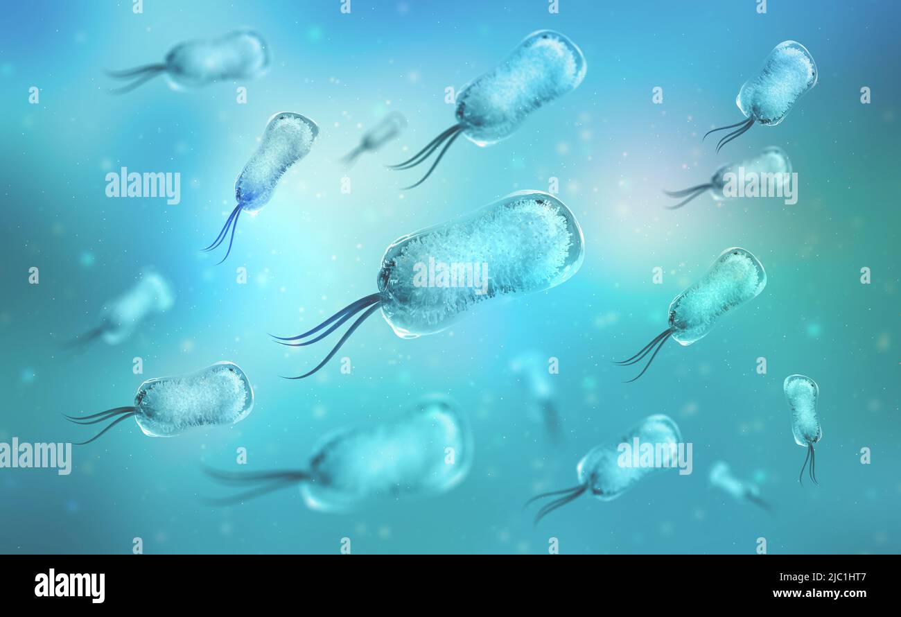 Pathogenic bacteria hi-res stock photography and images - Alamy