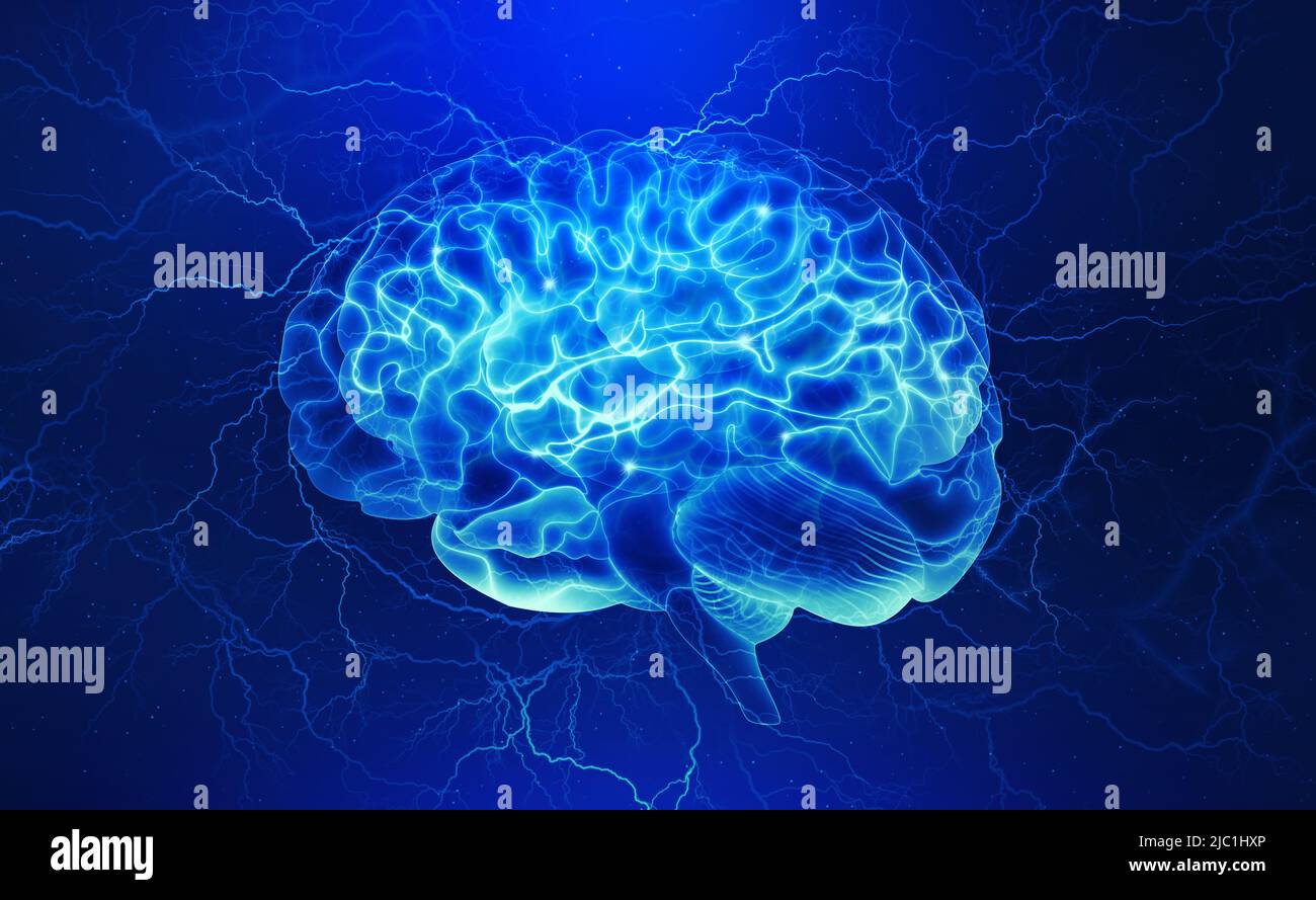Nerve Endings In The Brain