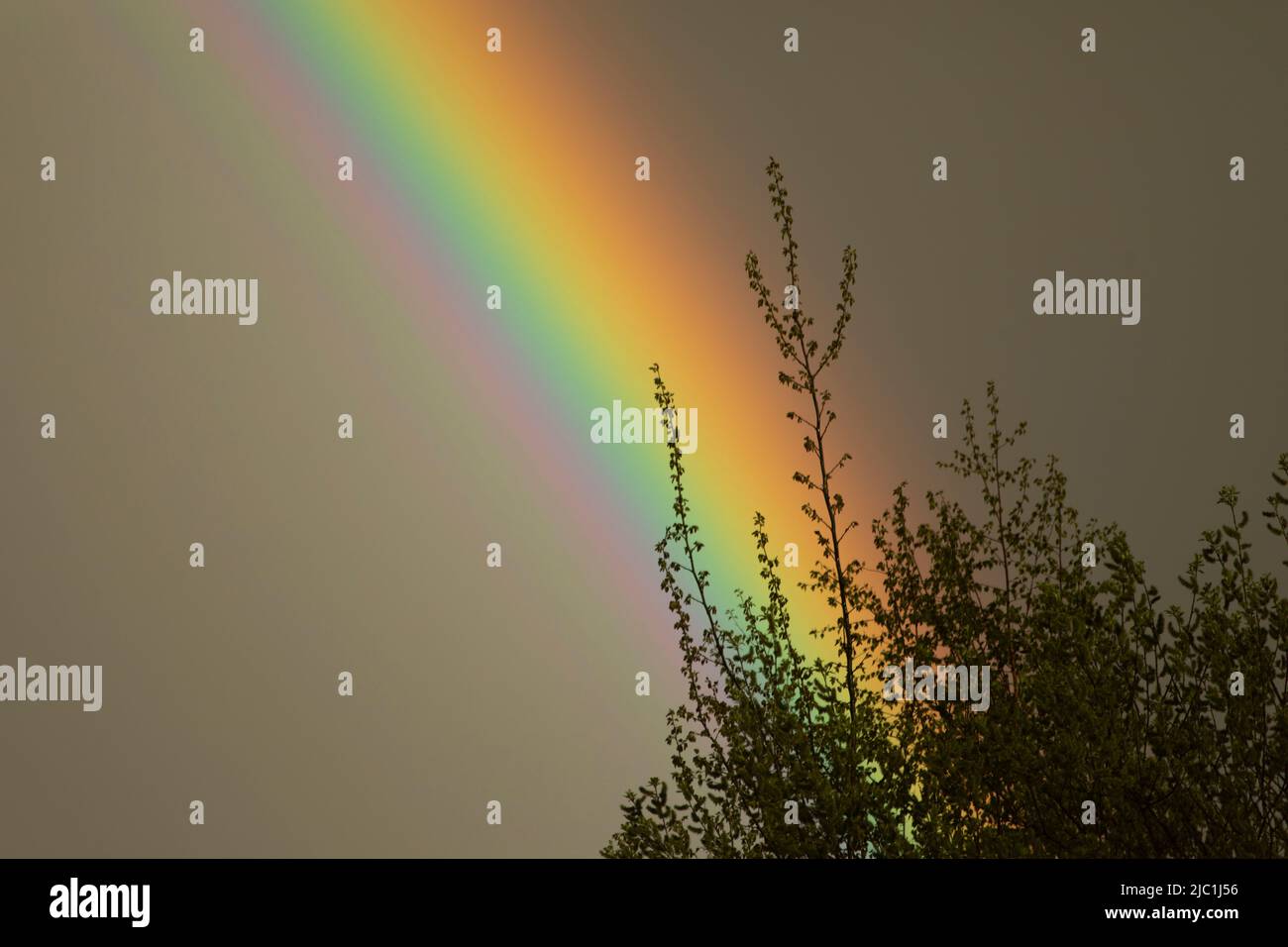 Rainbow in sky. Beautiful weather. Decomposition of light into colors ...