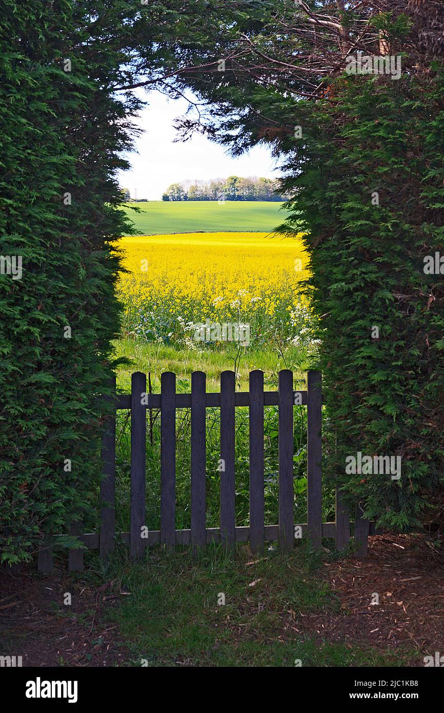 View from the bottom of the garden through arch onto the farm fields ...