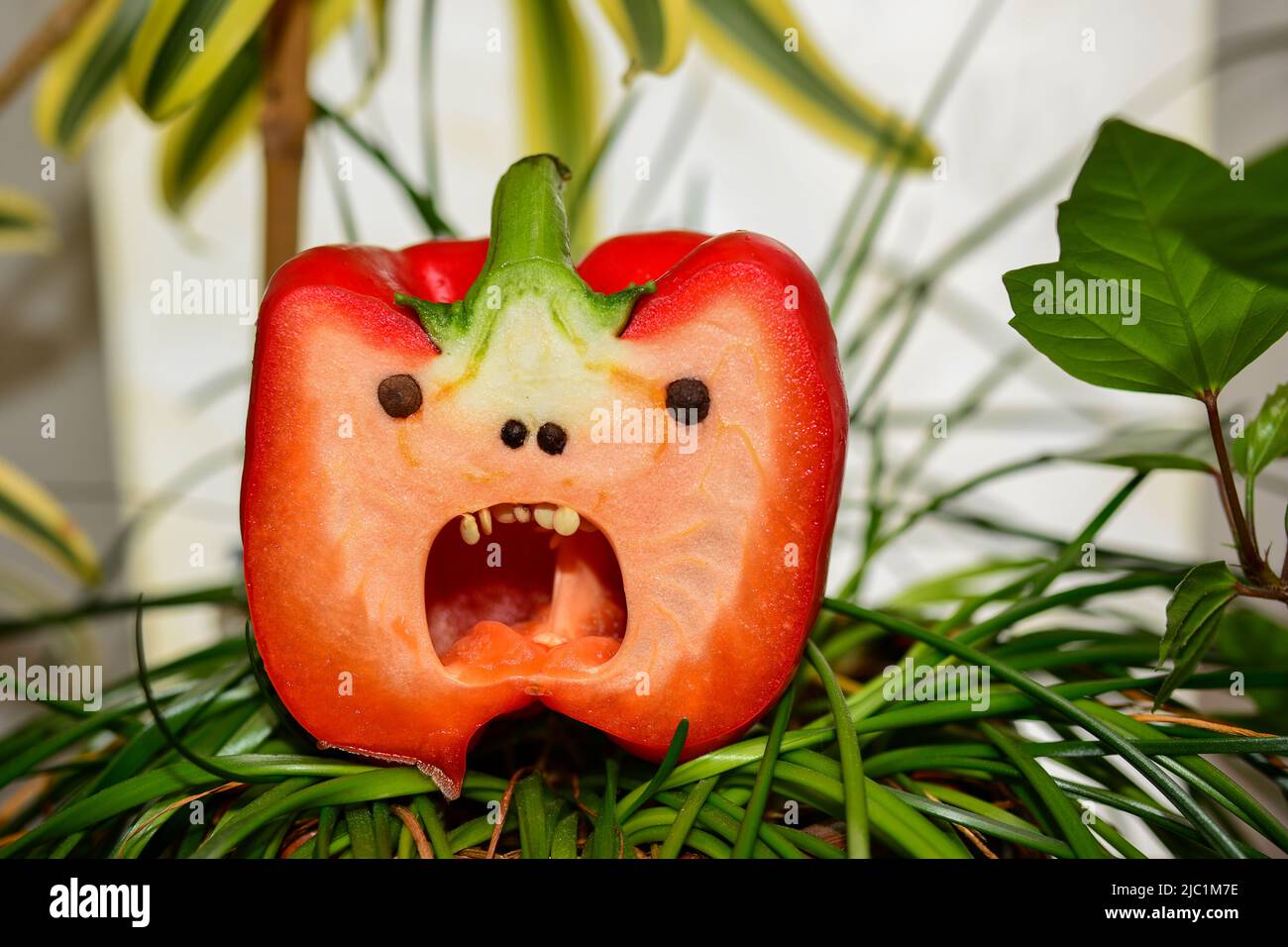 A large red pepper cut in half stands in the grass, looks like a face ...
