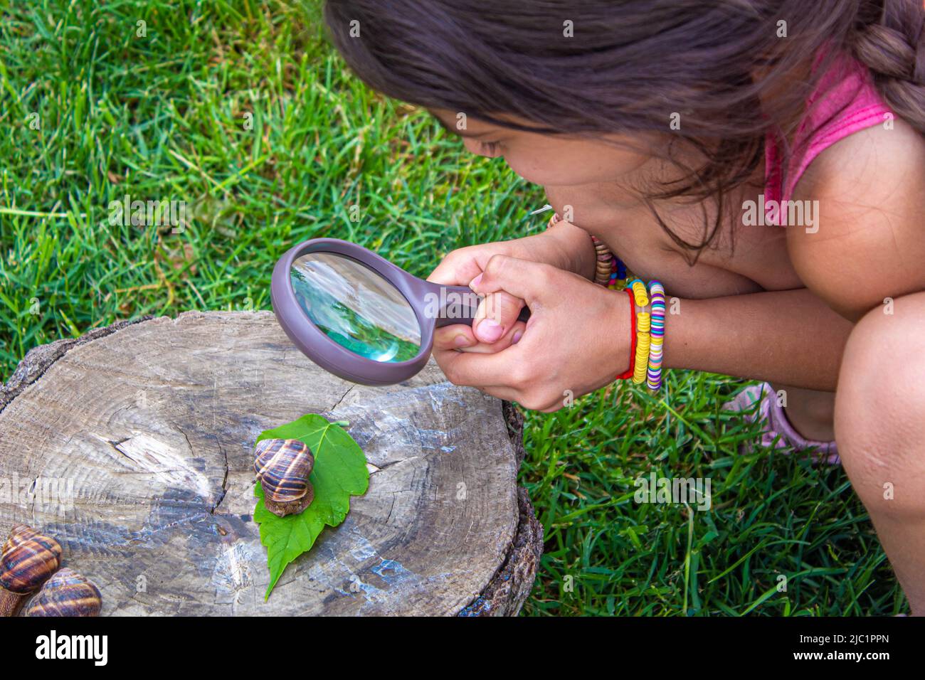 The child examines the snails on the tree. Selective focus Stock Photo ...