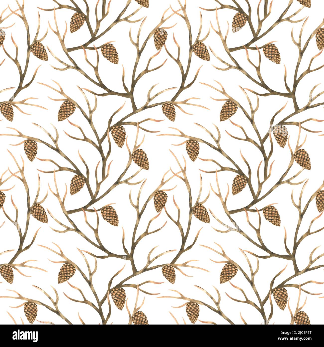 Dry tree branches and triangular cones. Brown intertwining branches ...