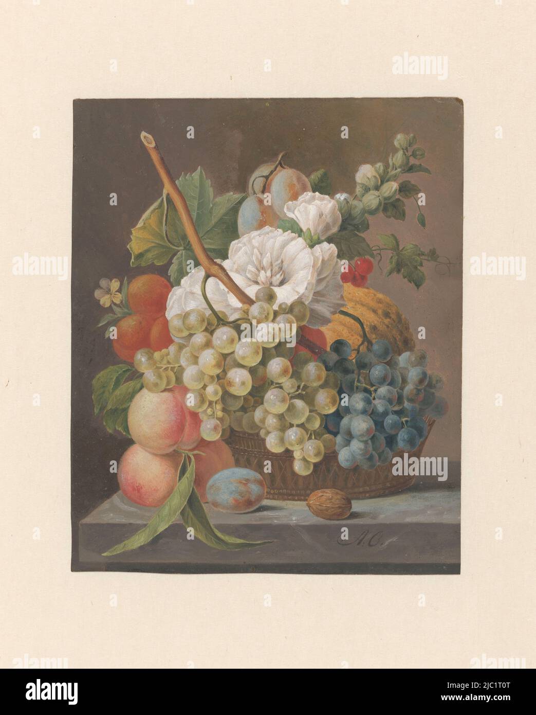 H 288 mm w 236 mm hi-res stock photography and images - Alamy