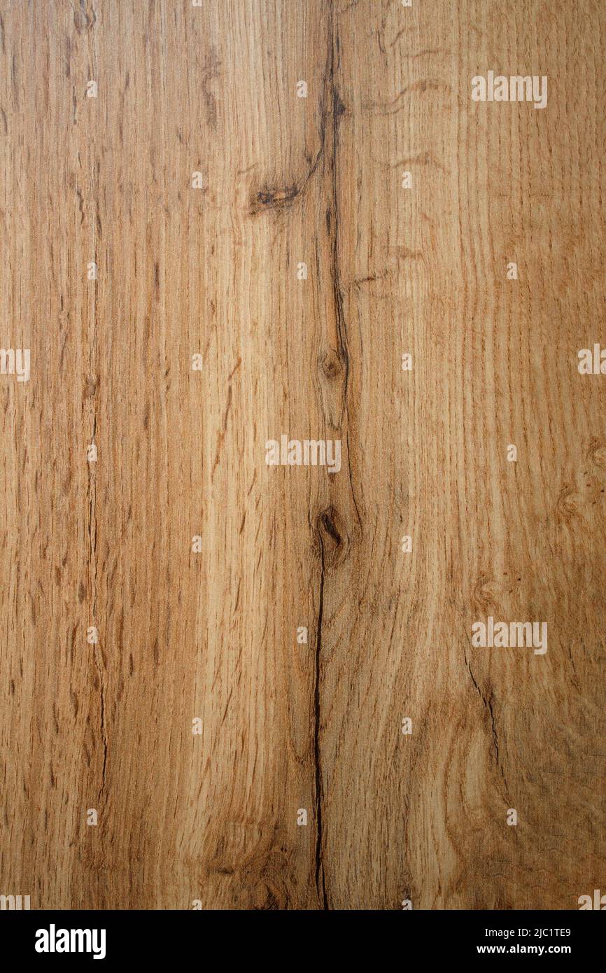 Wooden background texture. Light brown surface of old knotty wood with ...