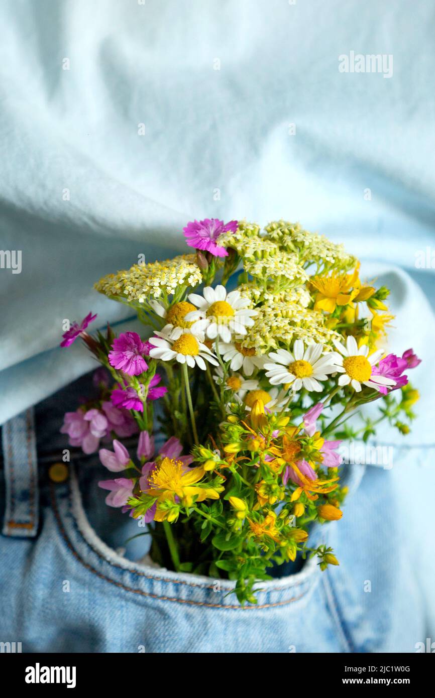 Beautiful tender flowers in front pocket of jeans outdoors, close-up ...