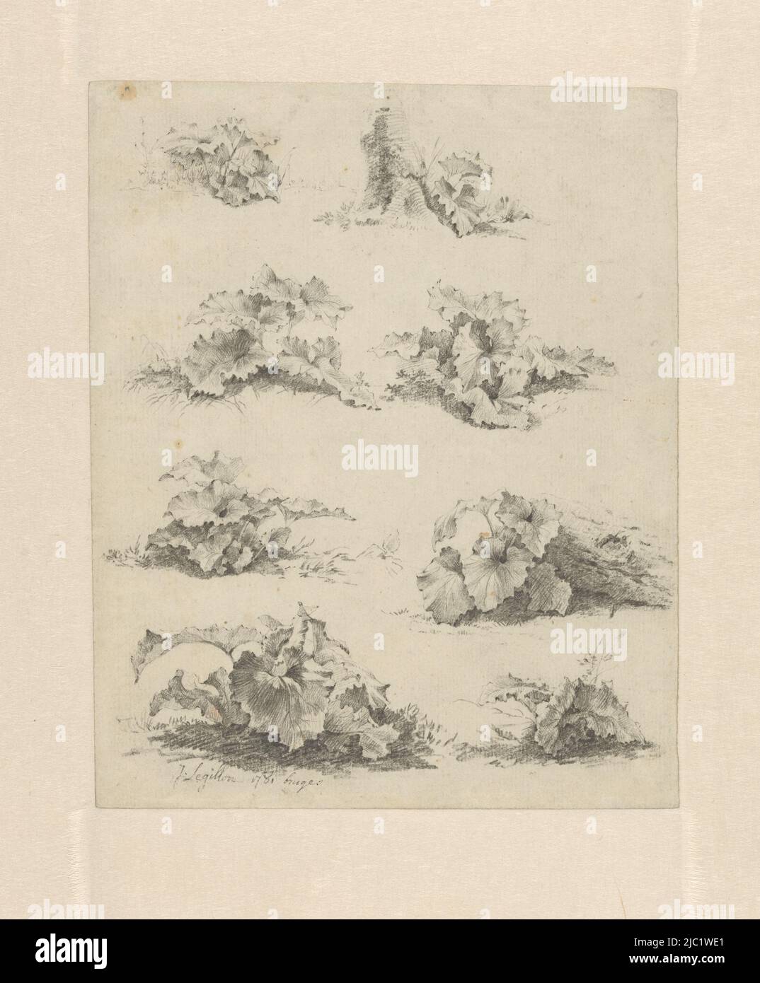 H 232 mm w 186 mm hi-res stock photography and images - Alamy