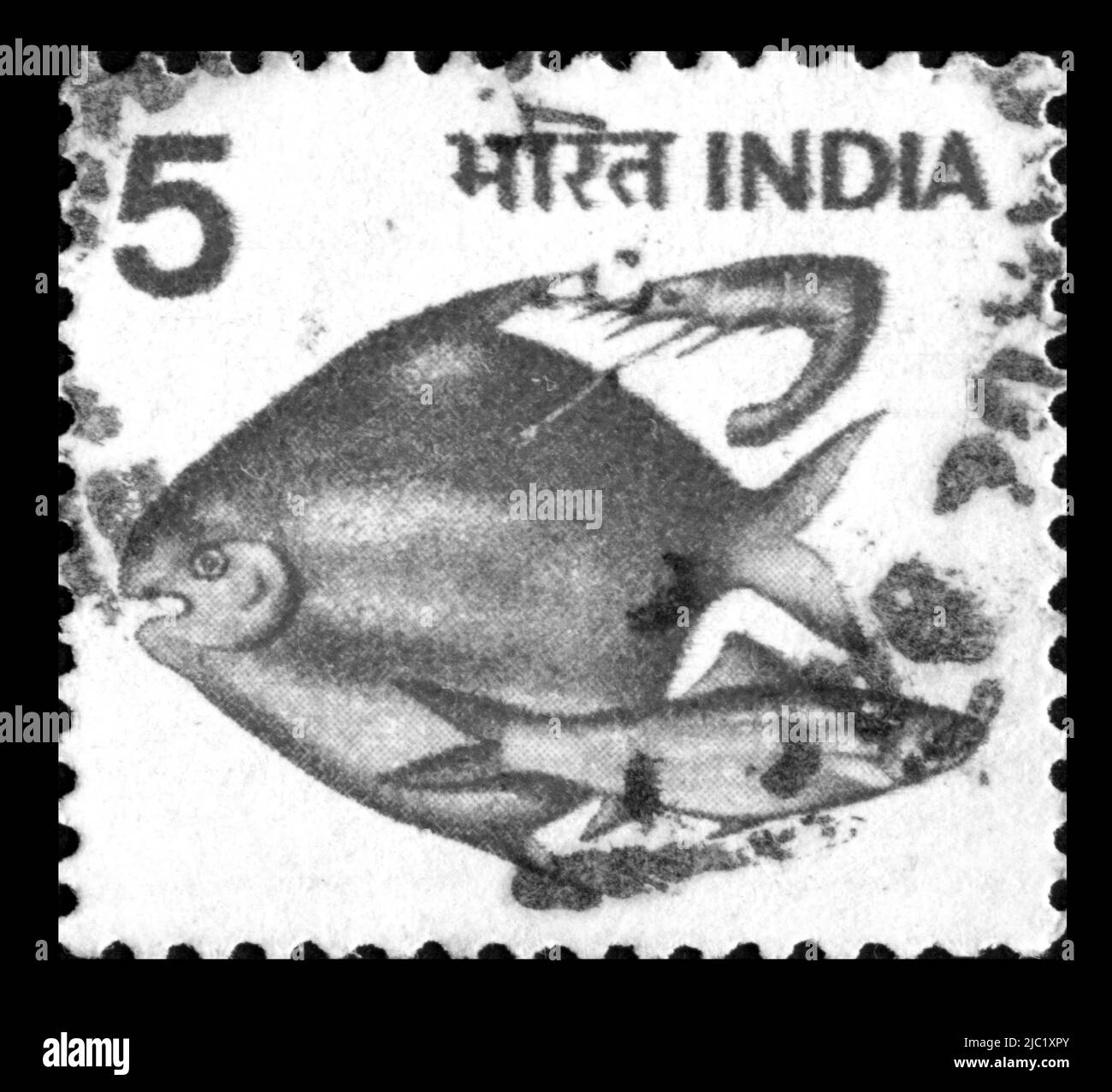 Fish india Black and White Stock Photos & Images - Alamy