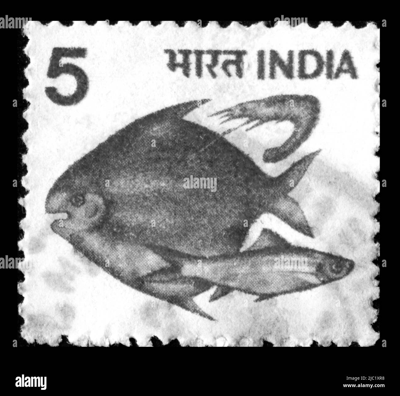 Fish india Black and White Stock Photos & Images - Alamy