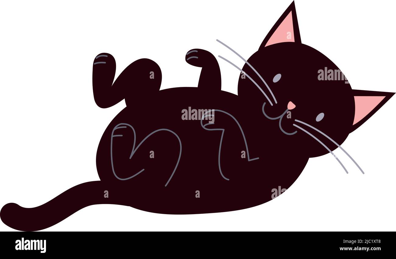 Adorable black kitten laying Cut Out Stock Images & Pictures - Alamy