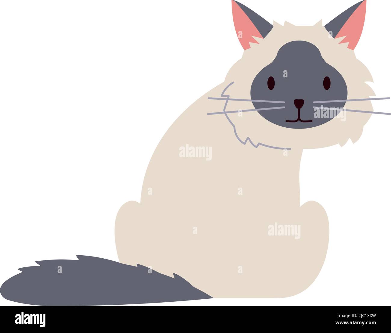 Young male cat sitting Stock Vector Images - Alamy