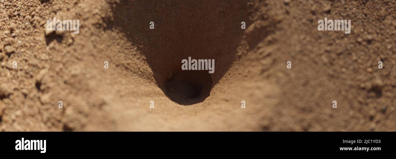 Mole tunnel empty hi-res stock photography and images - Alamy