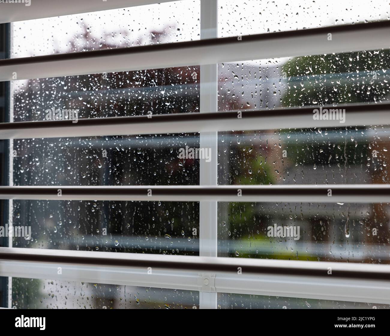 Looking through window shutters onto rain soaked double glazed windows ...