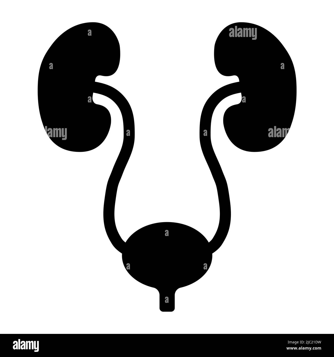 Urology health human icon, anatomy medical body bladder sign, biology ...