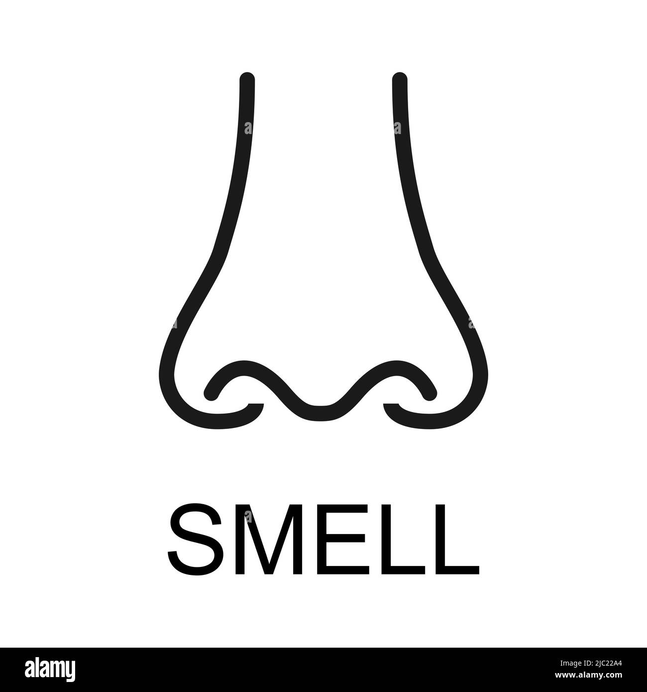 Human anatomy flat nose icon, smell health organ vector illustration ...