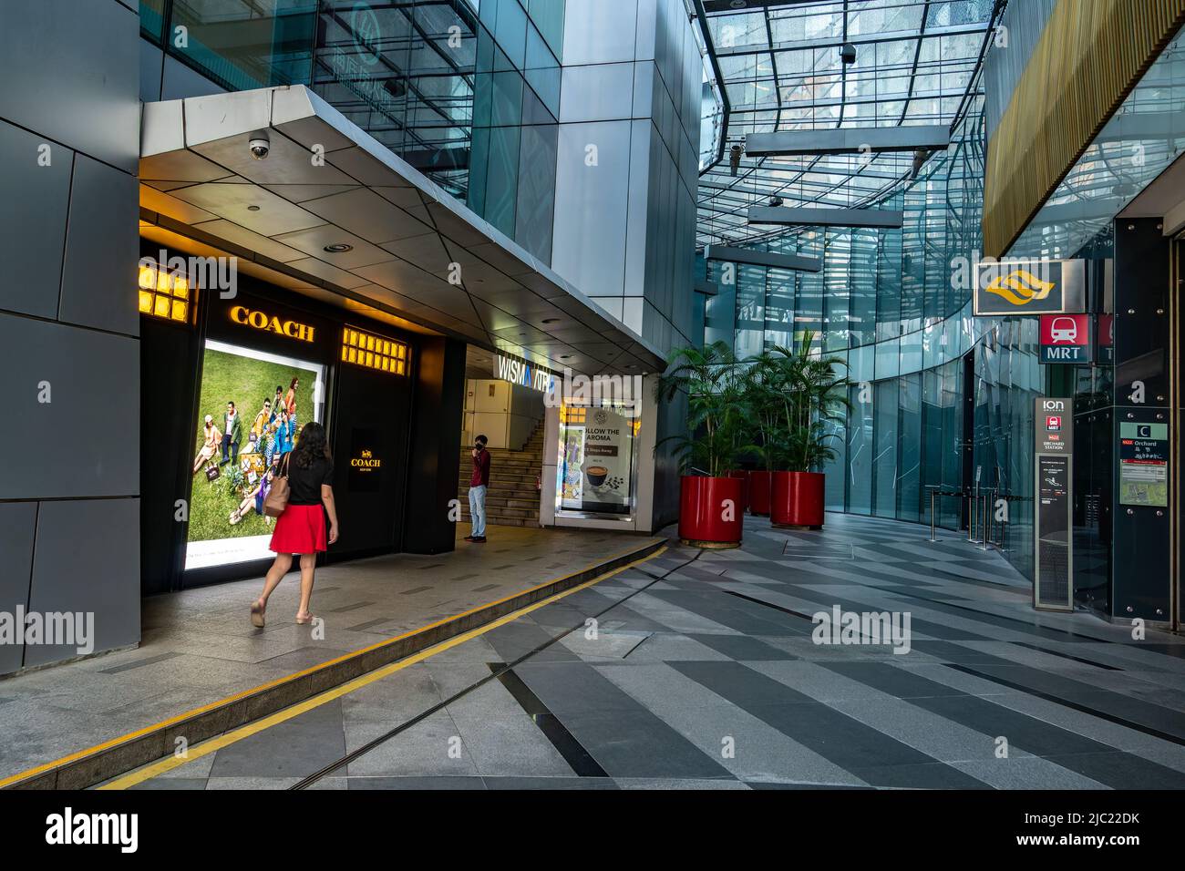 Wism atria hi-res stock photography and images - Alamy