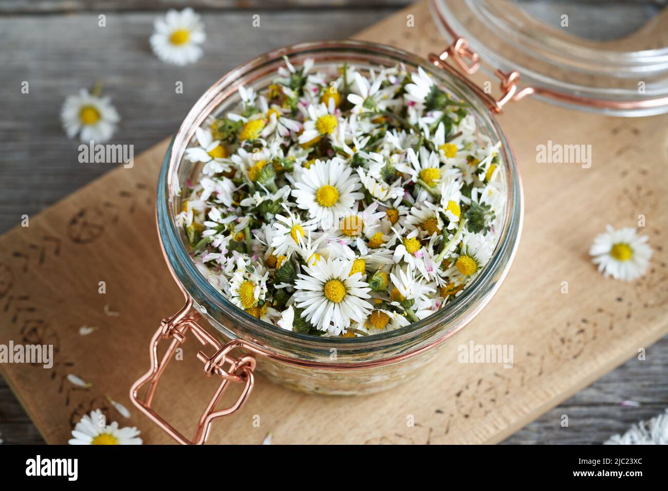 Preparation of herbal syrup from fresh common daisy flowers Stock Photo ...