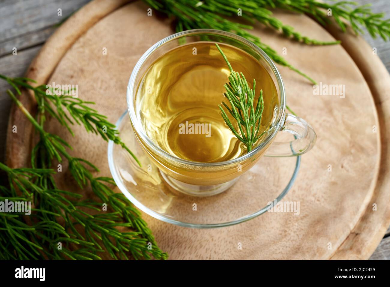 Fresh horsetail plant in a cup of herbal tea, close up Stock Photo - Alamy
