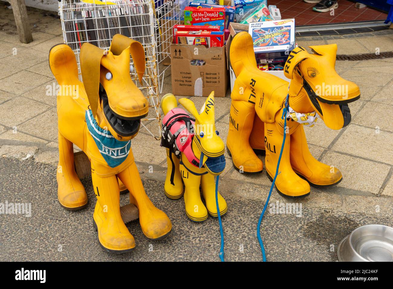 Rubber RNLI dogs supporting the RNLI, Lyme Regis, Devon Stock Photo - Alamy