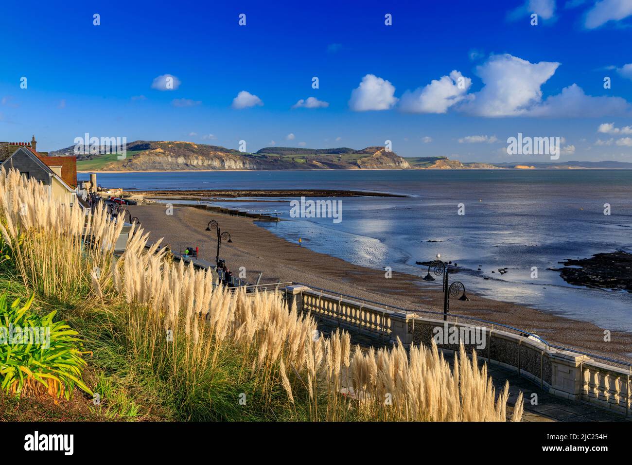 Looking east from the Langmoor & Lister Gardens in Lyme Regis towards ...
