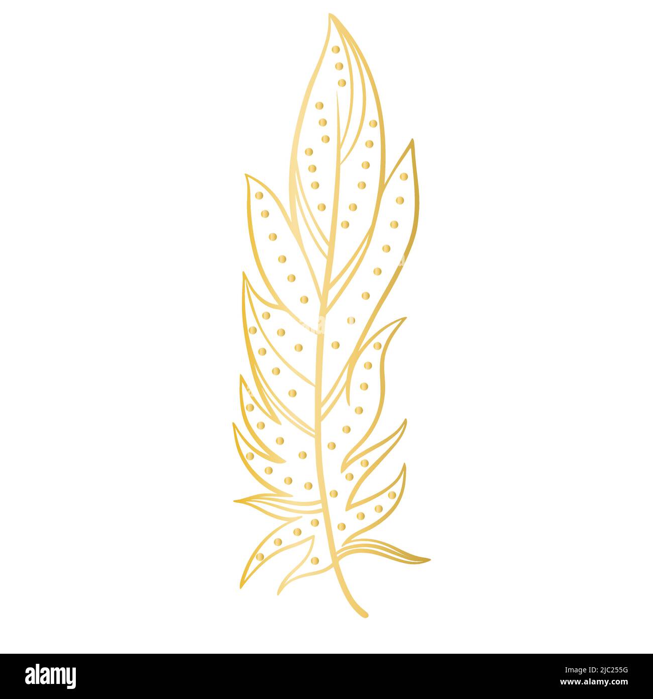 Gold feather vector vectors hi-res stock photography and images - Alamy