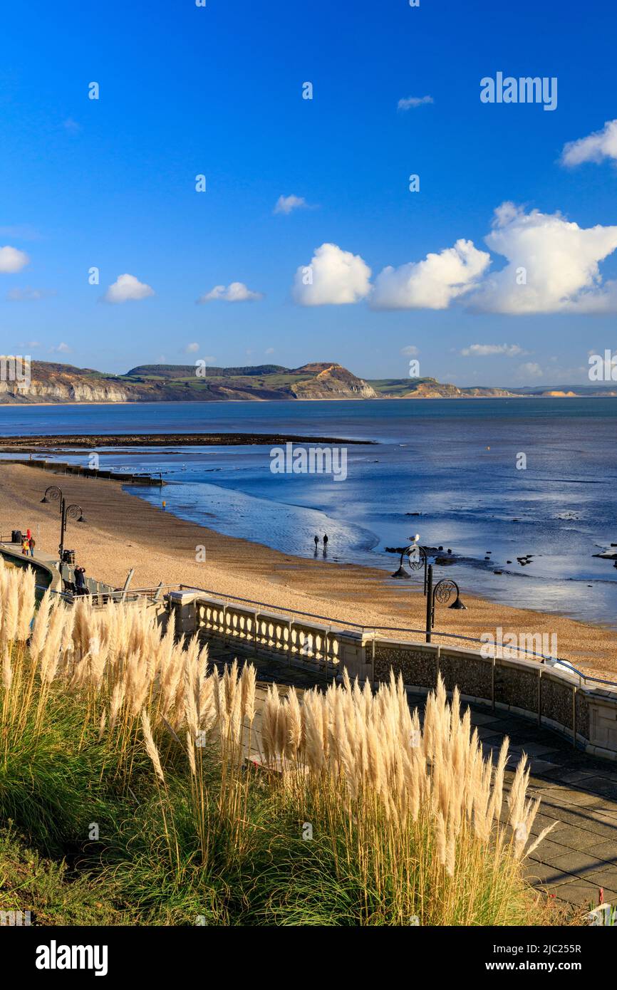 Looking east from the Langmoor & Lister Gardens in Lyme Regis towards ...