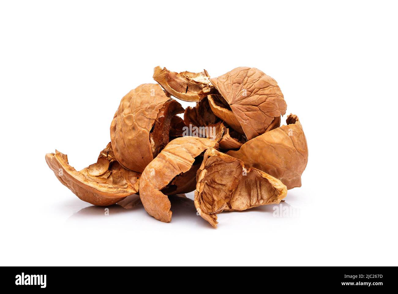 Shells from peeled walnuts isolated on white background. Empty broken ...