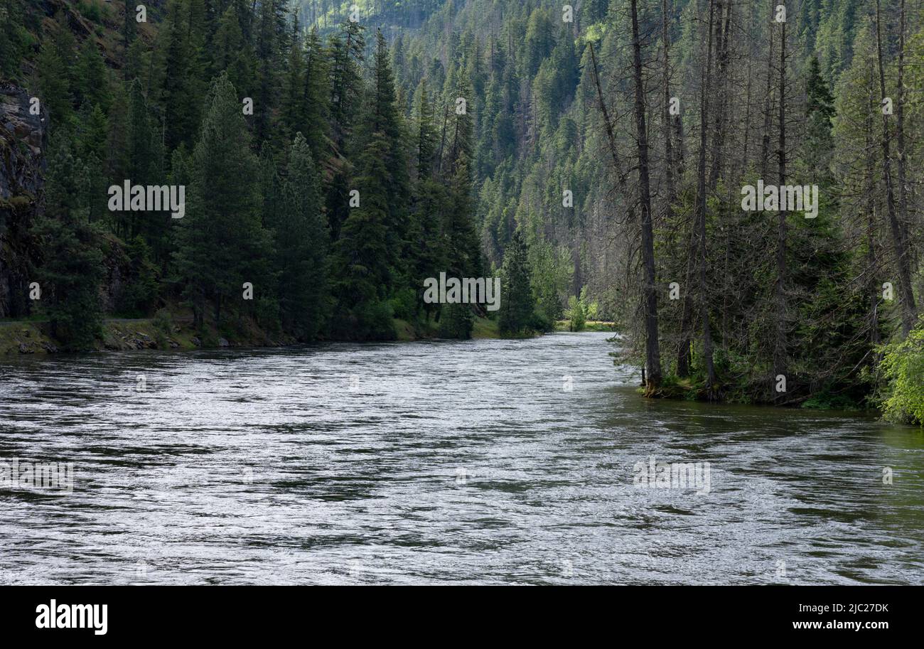 The Selway River seen from the Falls Point Road bridge in the Nez Perce ...