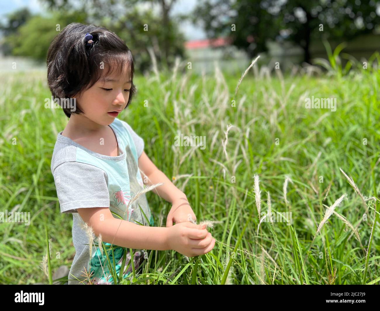 Beautiful little cute girl is picking up flower in the grass field with copy space Stock Photo ...
