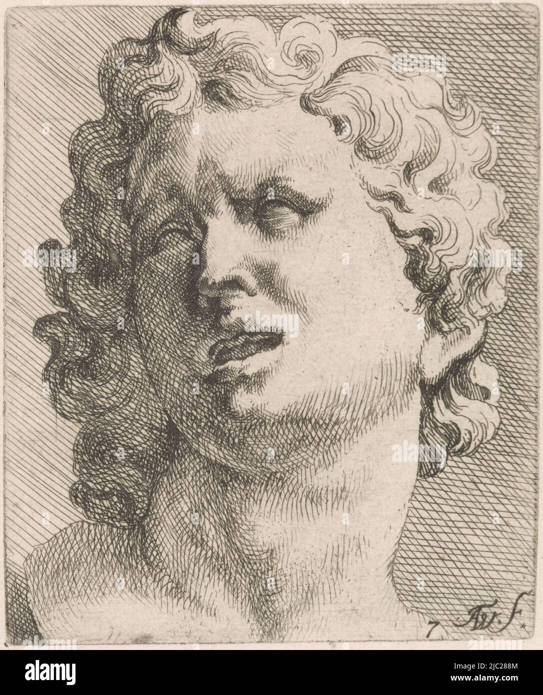 Head of one of the sons of Laocon, turned to the left and seen from the ...