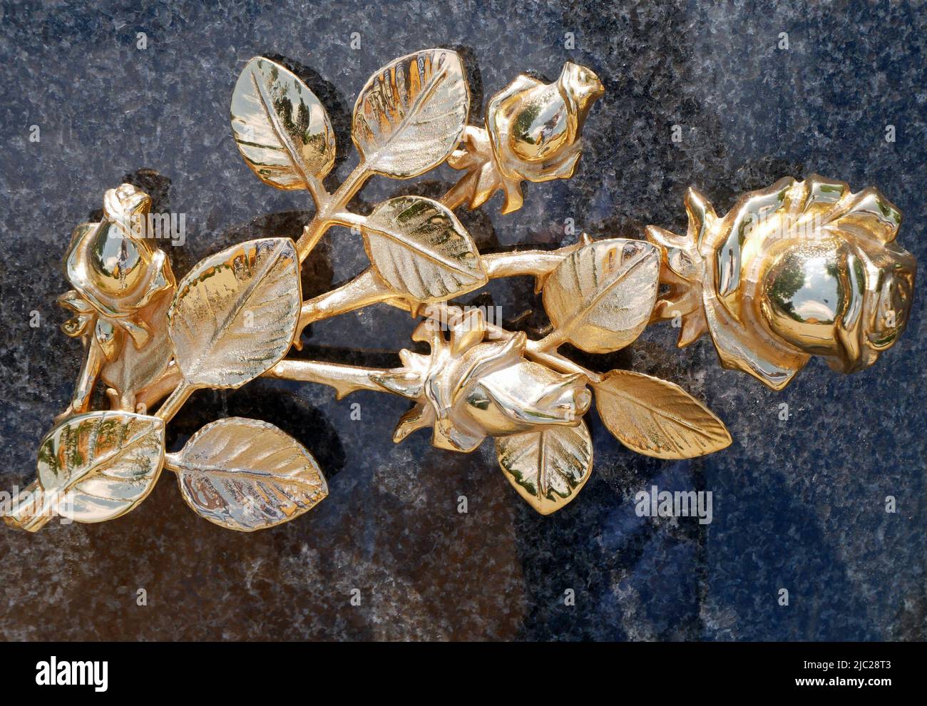 Tombstone rose hi-res stock photography and images - Alamy