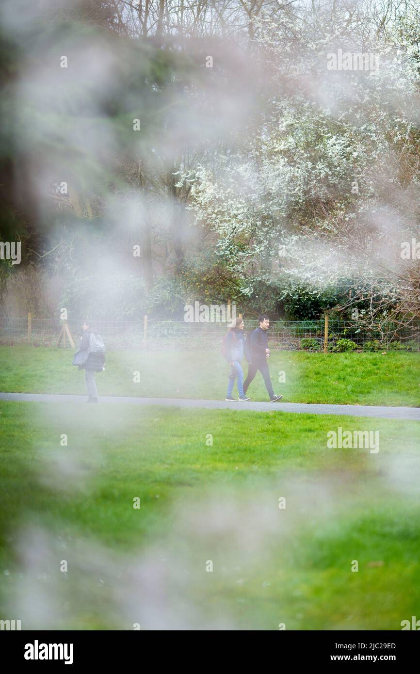Atmospheric urban stroll hi-res stock photography and images - Alamy