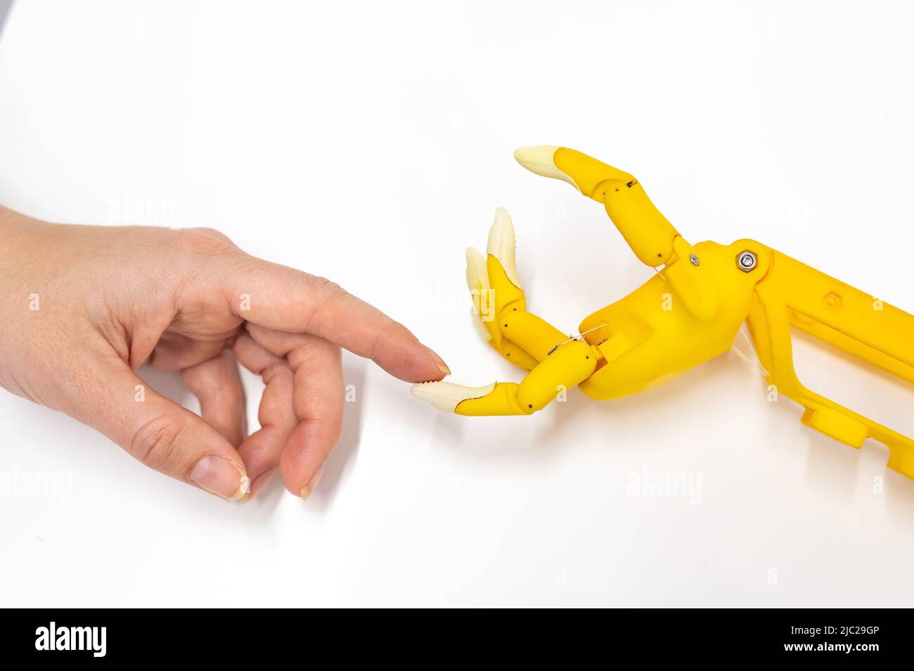 Woman's hand and a plastic hand prosthesis for a child on a white ...