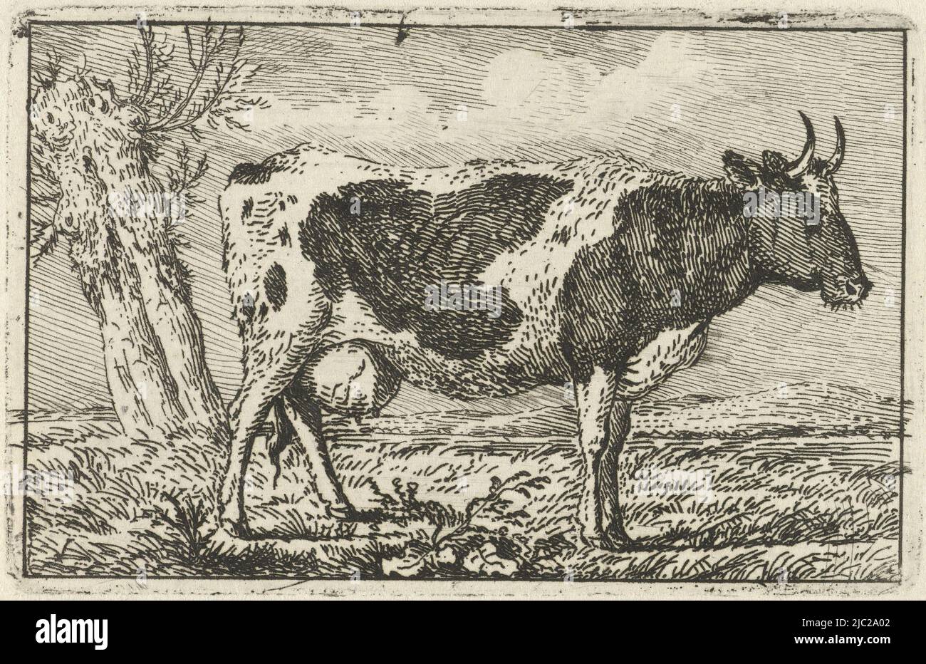 Spotted Cow Cows (series title), print maker: Anthony Oberman ...