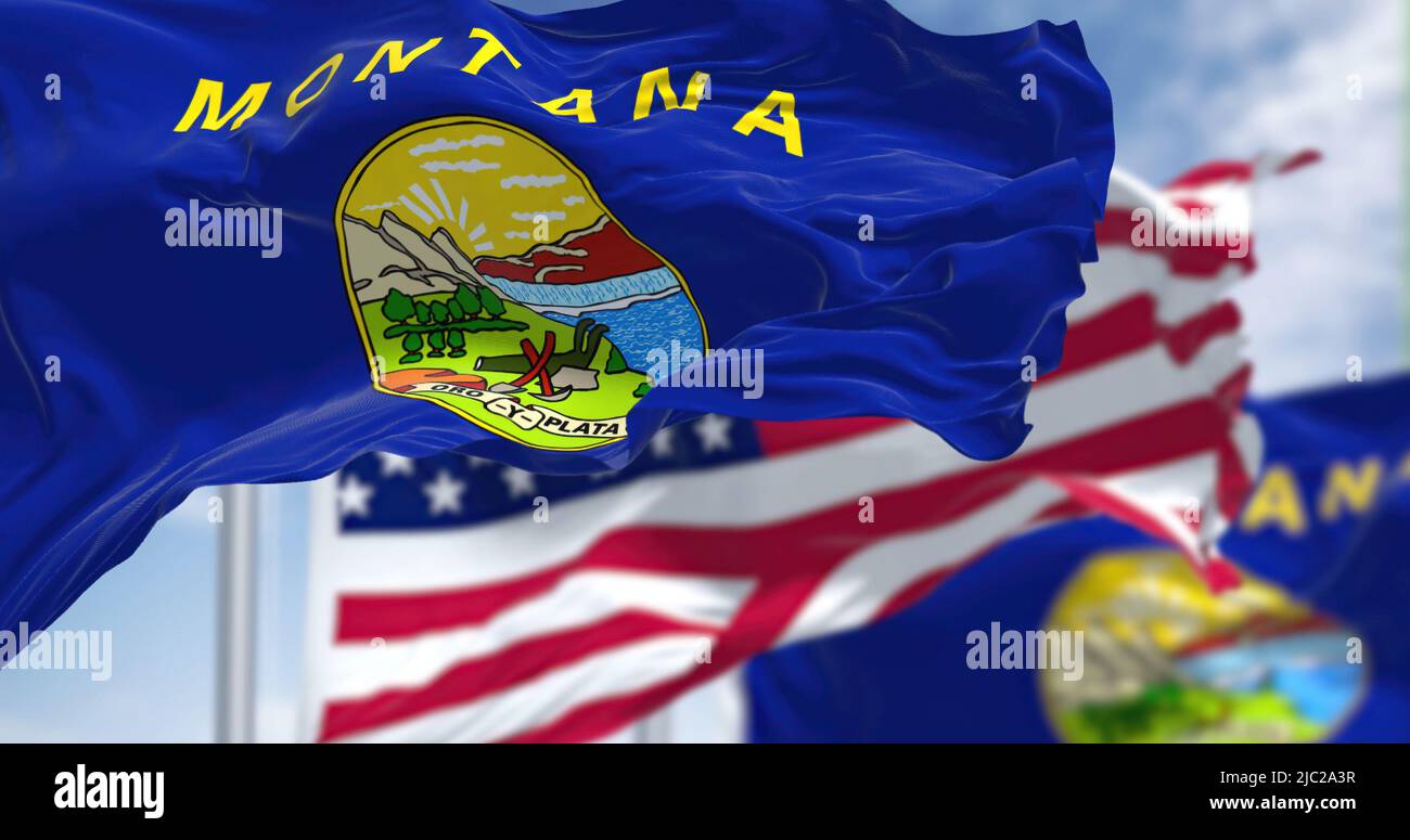 The Montana state flag waving along with the national flag of the ...