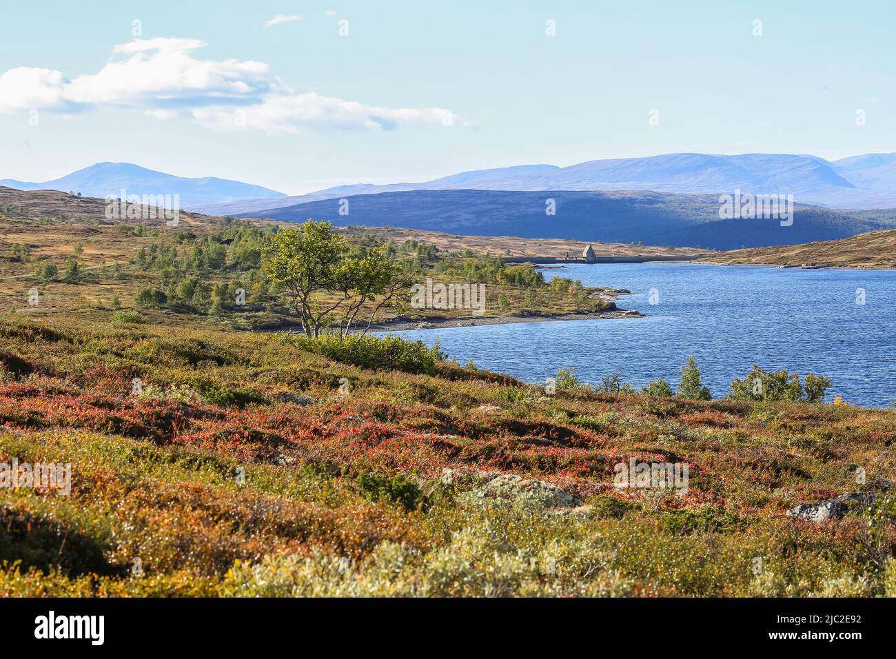 Fall in Norway, view of the lake Stor Sverje, lacated in the Kvikne ...