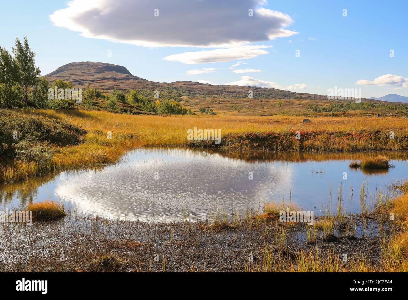 Sverje hi-res stock photography and images - Alamy