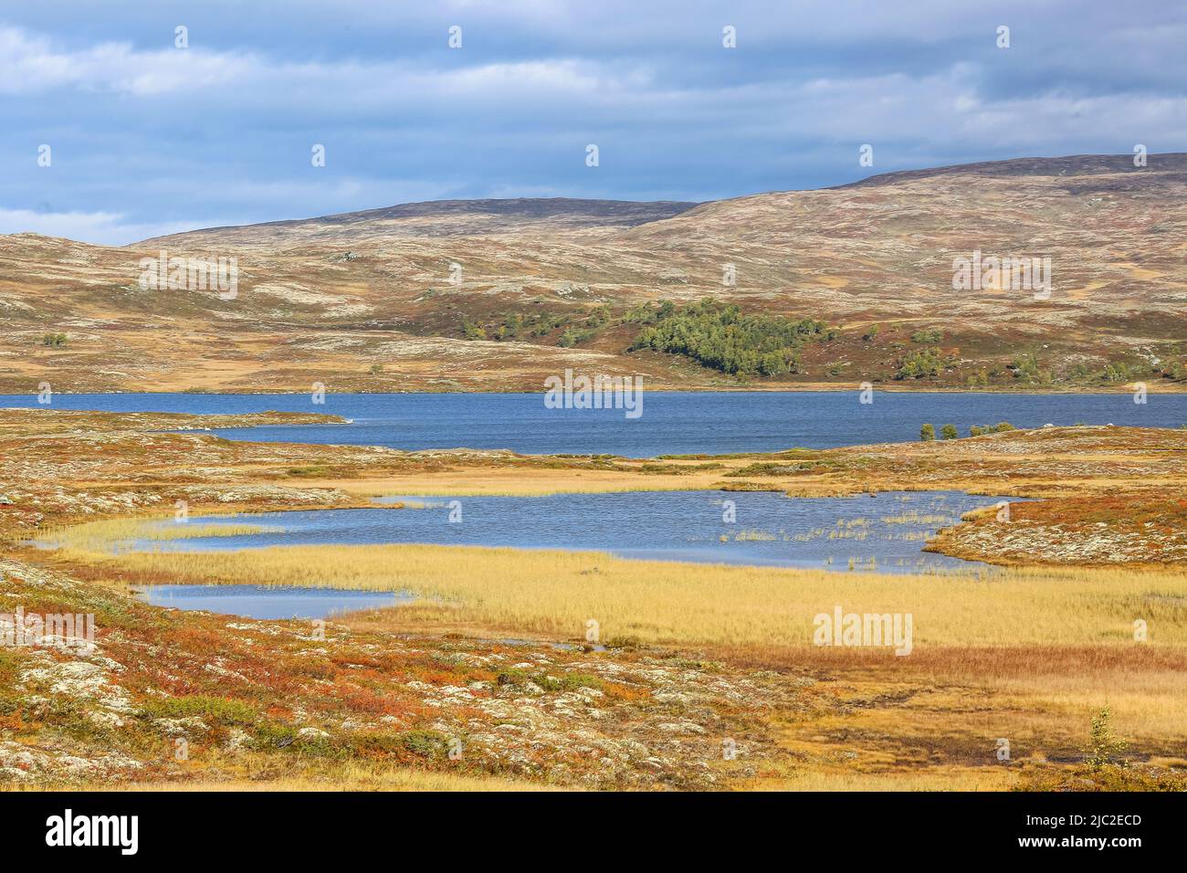 Fall in Norway, view of the swamp in the Forollhogna National Park ...